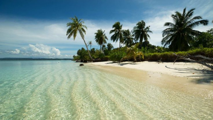 Pesona Pulau Mentawai di Ujung Barat Indonesia - TRAVELXPLORE.ID
